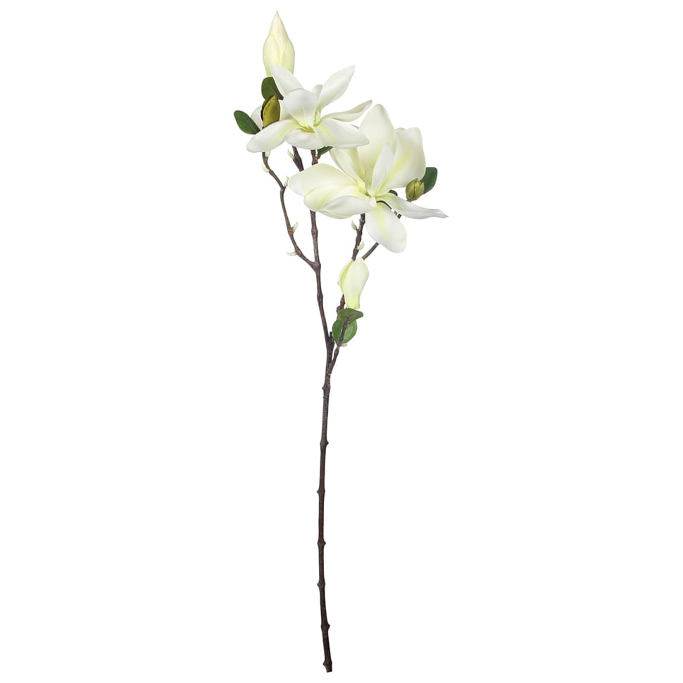 FLOR CHARMING MAGNÓLIA BRANCO/VERDE | Tok&Stok