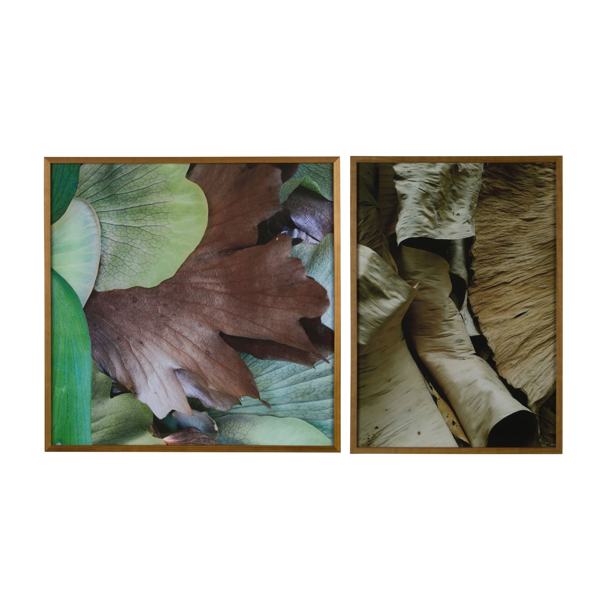 QUADROS HÉLIO BELTRÂNIO - SÉRIE I MULTICOR/AMÊNDOA | Tok&Stok