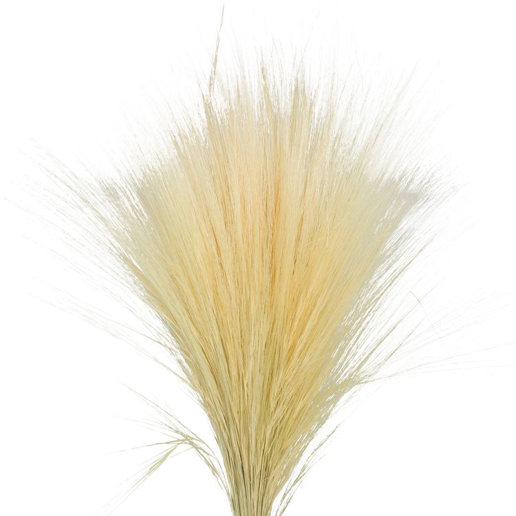 FOLHAGEM CAPIM SECO FIBRA CLARA | Tok&Stok