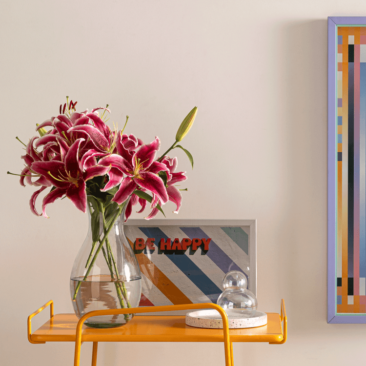 CARRINHO 60 CM X 43 CM FLUSS SORBET DE MANGA | Tok&Stok